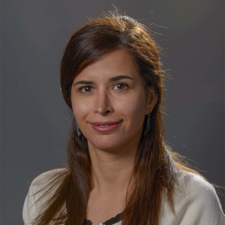 Mahnaz Ghiasi – Materials Chemistry and Catalysis